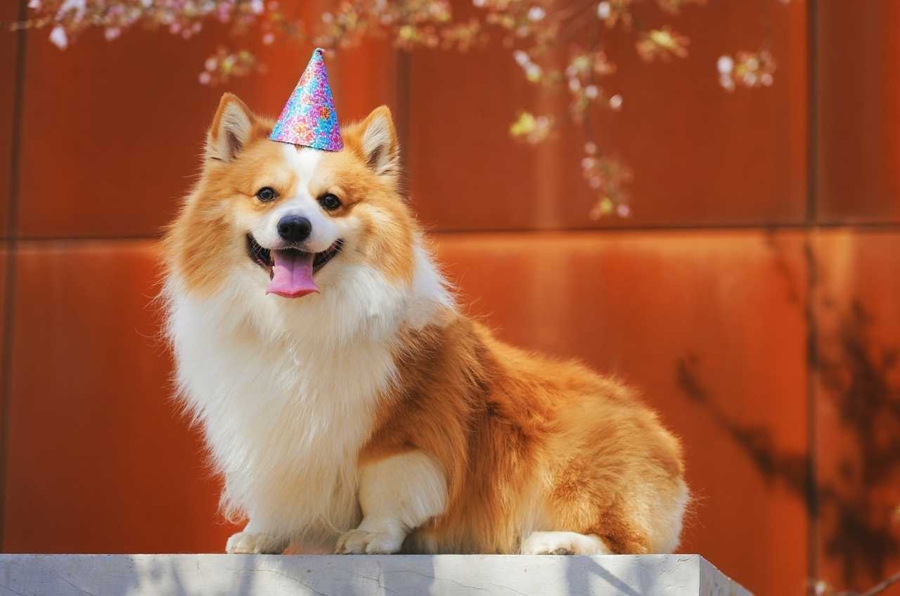 Guide to Exporting Images from Image Editor | getimg.ai